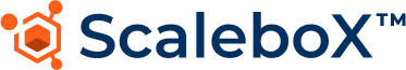 Explore how ScaleboX helps companies to scale up sales globally